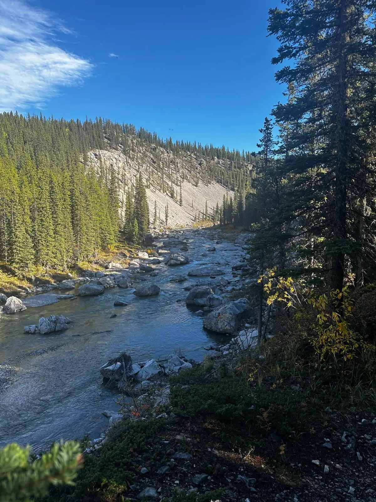 Elbow river | RiverPeopleGuides