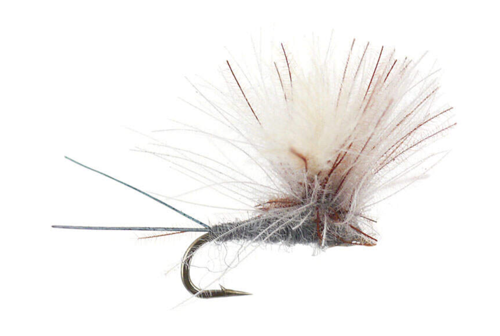 CDC Para Wulff Adams | RiverPeopleGuides