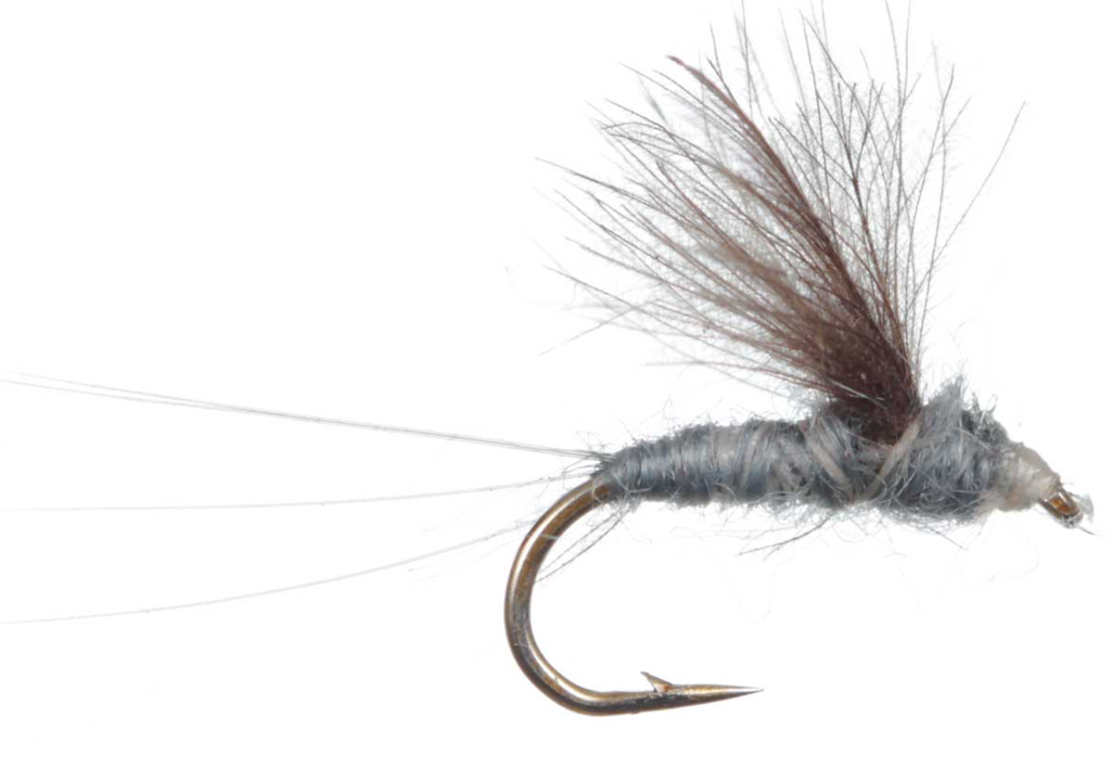 CDC Comparadun Adams | RiverPeopleGuides