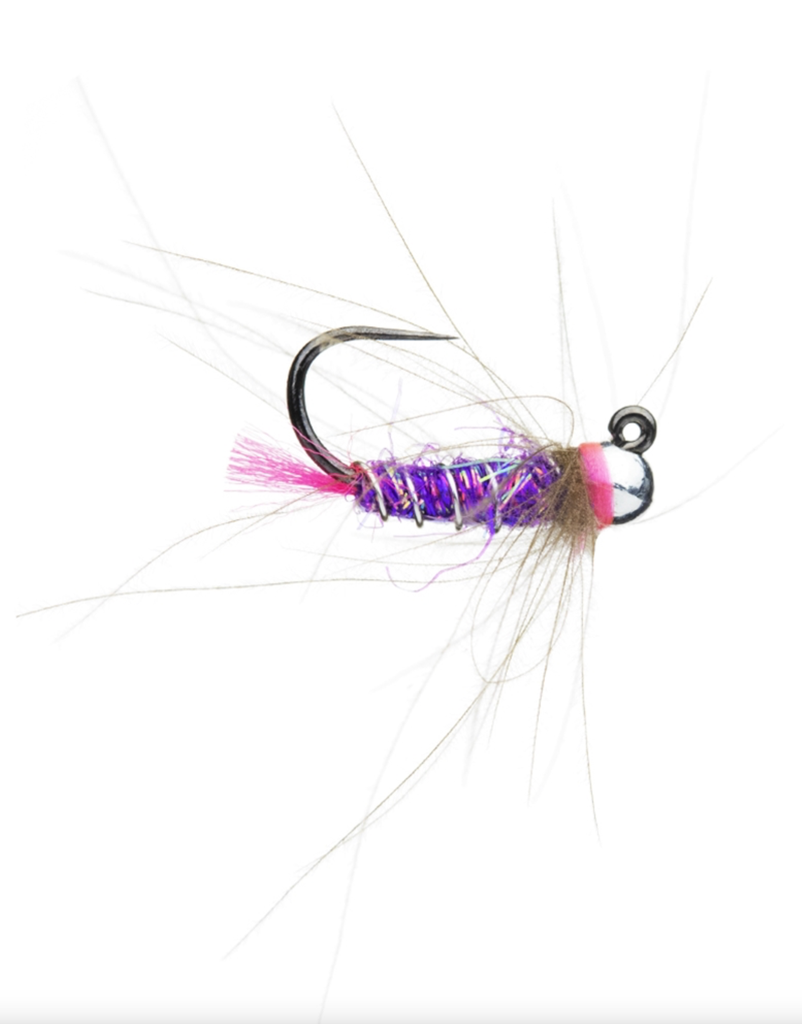 TB Blowtorch Jig Purple | RiverPeopleGuides