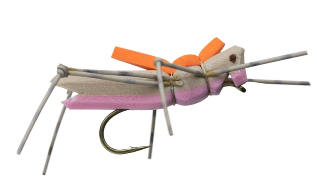 Morrish Hopper Pink | RiverPeopleGuides
